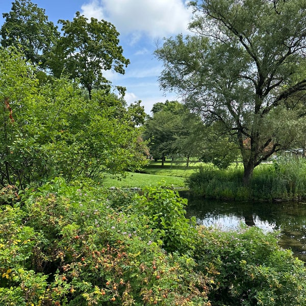 Congress Park - 24 tips