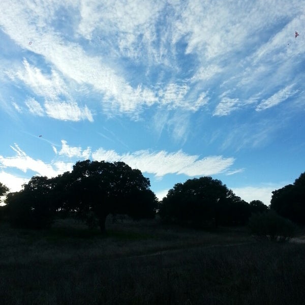 Monte de El Pardo - El Pardo - 1 tip from 176 visitors