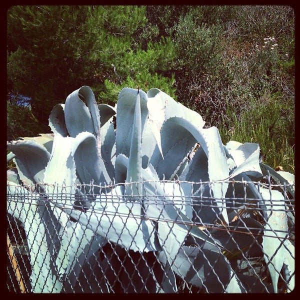 Marché U - Supermarket in Roquebrune-Cap-Martin
