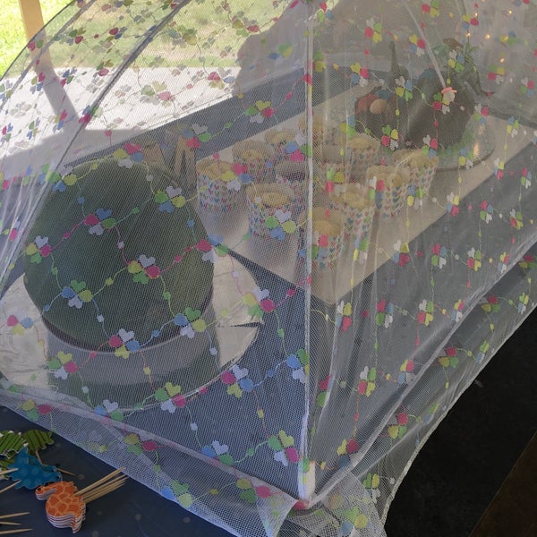 Photos at Burnum Burnum Sanctuary