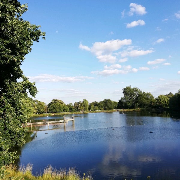 Highgate Men's Bathing Pond - Millfield Ln