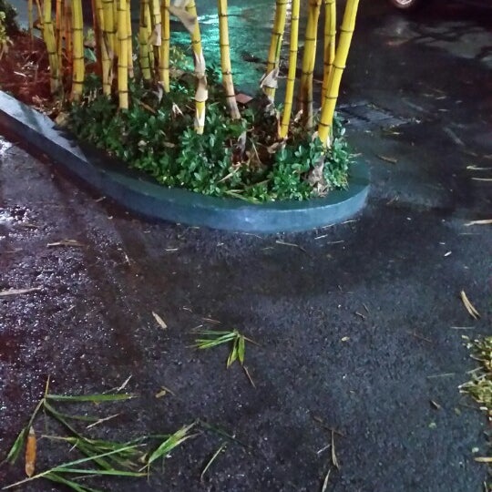 Bamboo Shack - 8 tips from 115 visitors