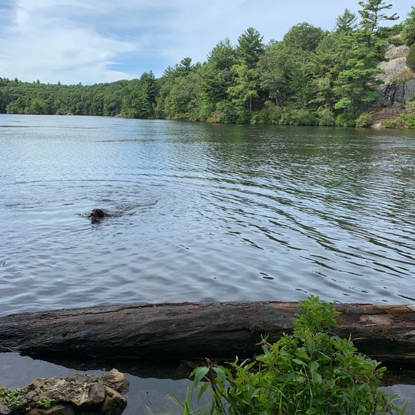 Photos at Breakheart Reservation - Park