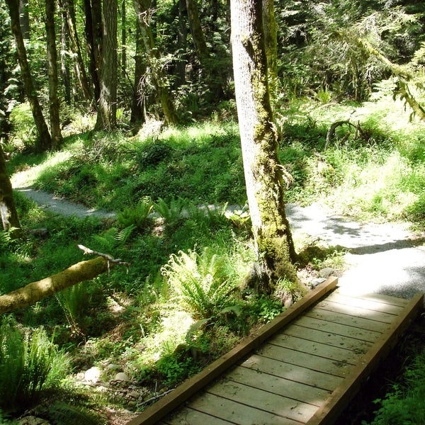 Photos at Squak Mountain State Park - 4 tips