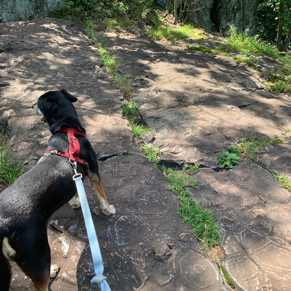 Turtle Back Rock - Park