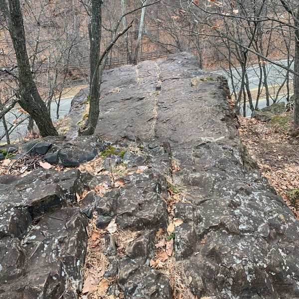 Turtle Back Rock - Park