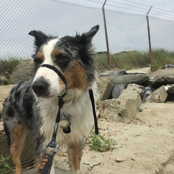 Compass Rose Beach - 2 tips