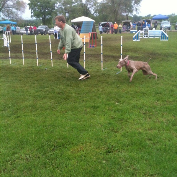 Animal Inn Pet Resort & Spa - Pet Service