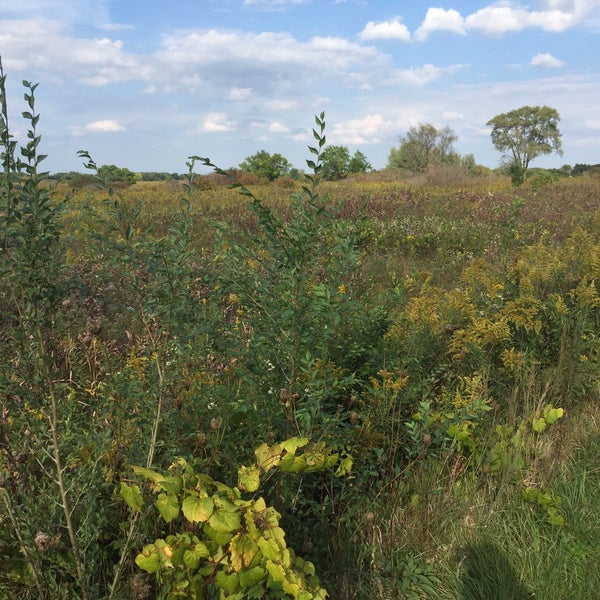 Photos at Springbrook Prairie Forest Preserve - 29 tips from 579 visitors