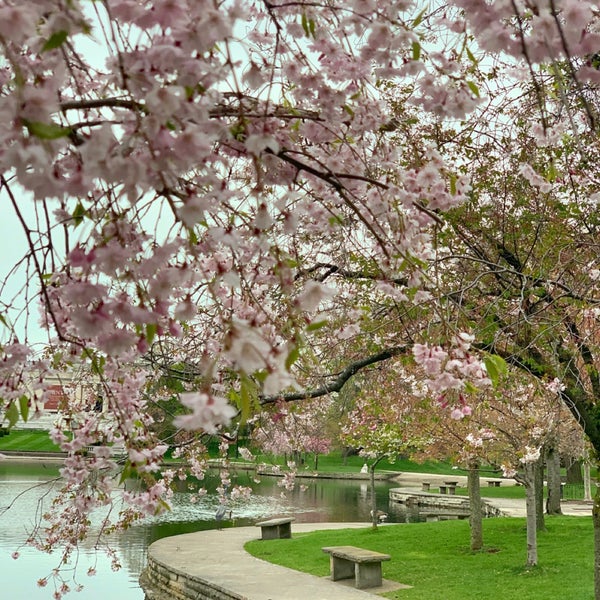 Photos at Wade Park Lagoon - University Circle - Cleveland, OH