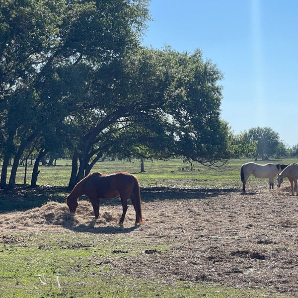 Westgate River Ranch - Resort