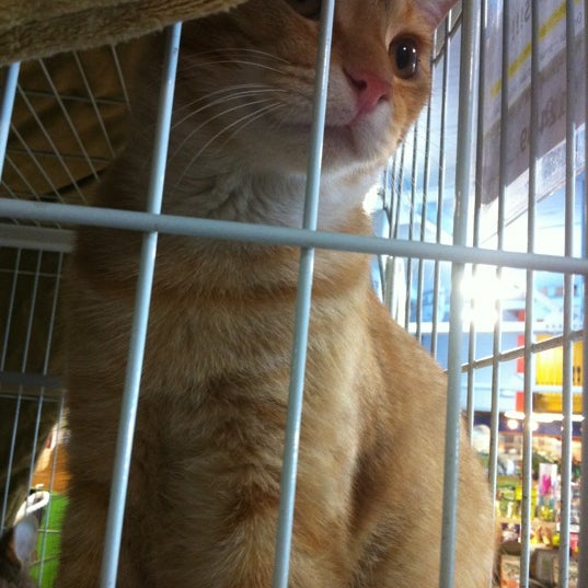 Photos at Preuss Pets - 1127 N Cedar St