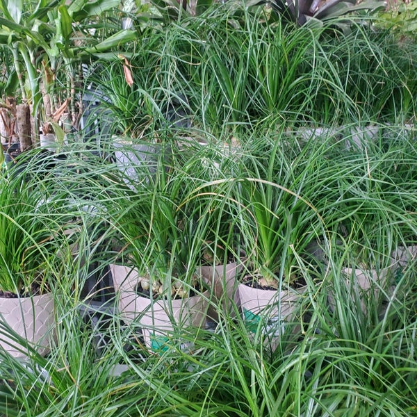 Menards - 1300 US Highway 41