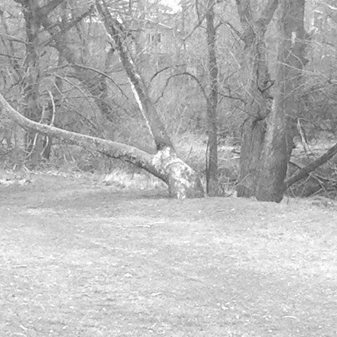 Fairview Park - Park in Decatur