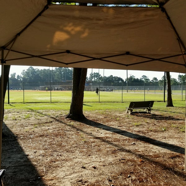 Collins Park - 7 tips