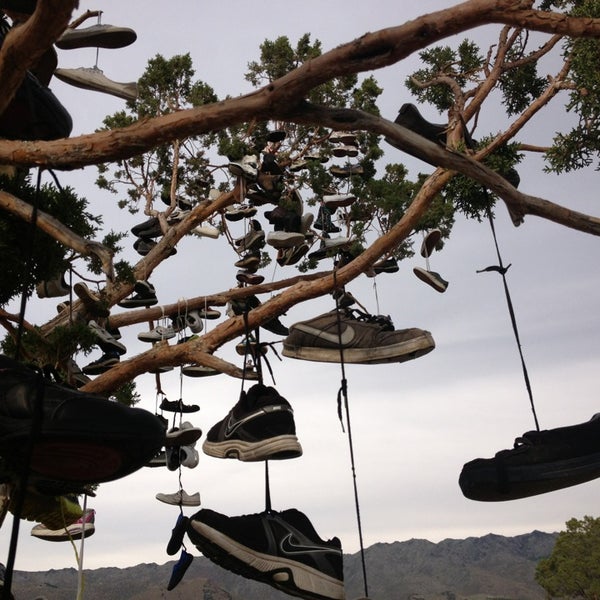 Shoe Tree - Doyle, CA
