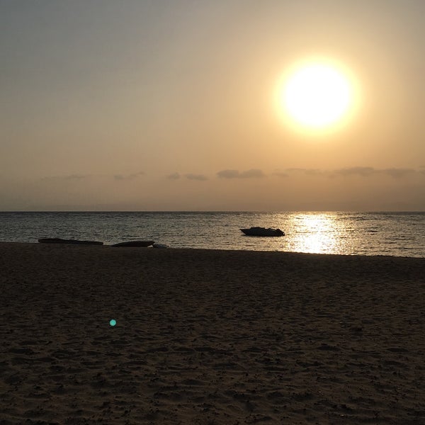 Basata Camp | Ras El Barka - Km 23, Nuweibaa Taba Rd.