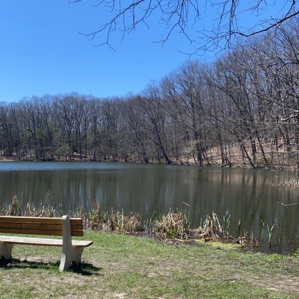 Ferncliff Forest - 5 tips from 275 visitors
