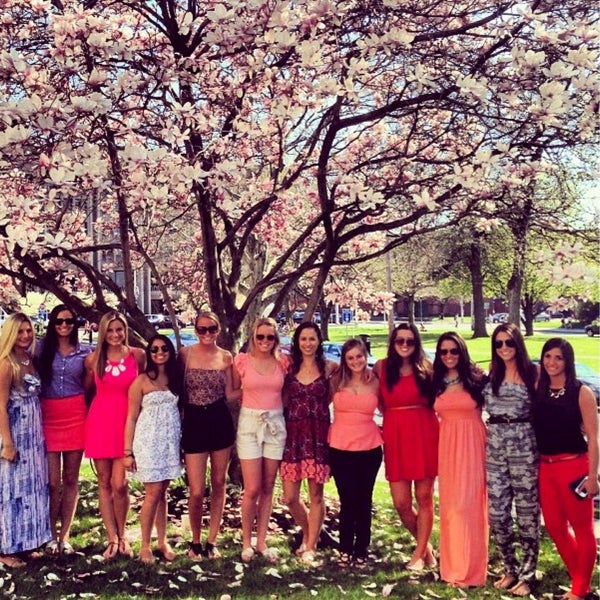 Delta Gamma Rho - 2 tips from 142 visitors