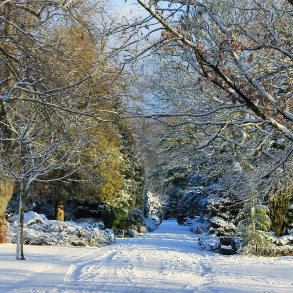 Hazlehead Park - 4 tips