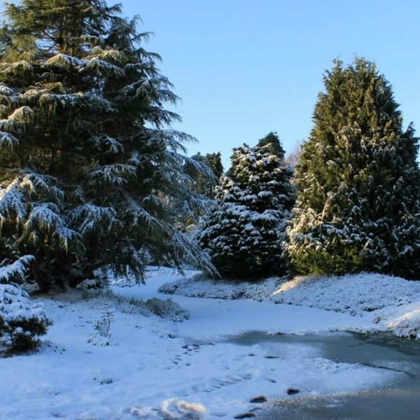 Hazlehead Park - 4 tips