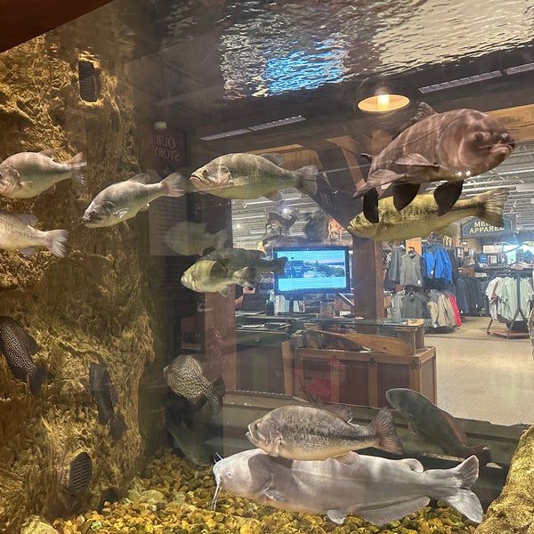 Bass Pro Shops - Sporting Goods Retail in Saint Charles