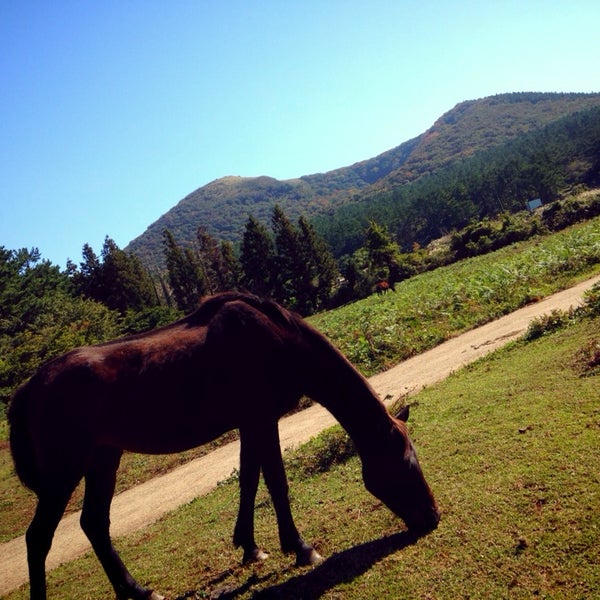 Photos at 노꼬메오름 - 제주시, 제주특별자치도