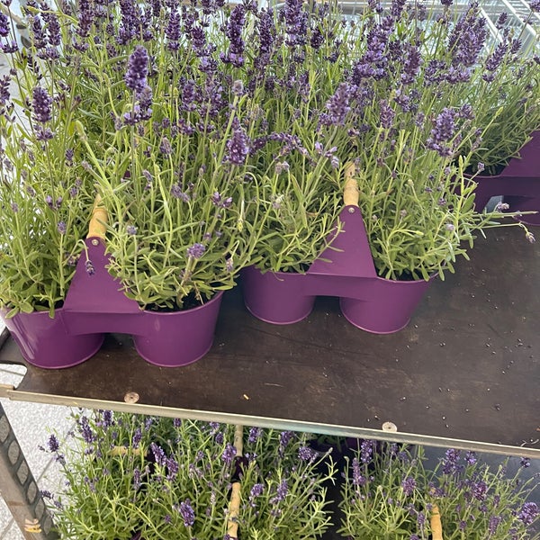 Lidl - Supermarket in Leatherhead