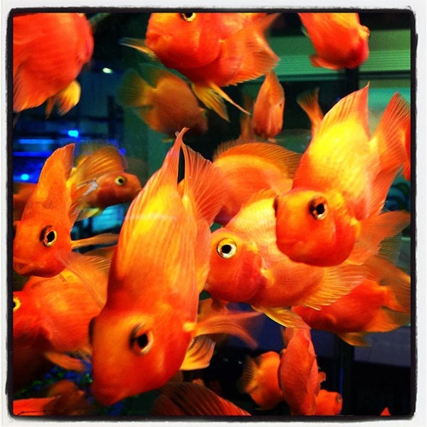 Photos at The Fish Gallery - Zoo