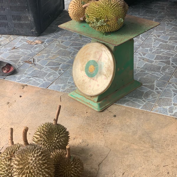 Dusun Durian Ulu Dong