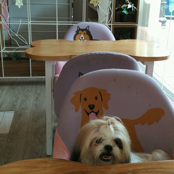 10 Dog Cafe Gading Serpong PNG 10-dog-cafe-gading-serpong-png
