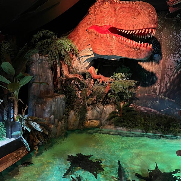 Photos at Sea Life Adventure - Aquarium in Southend-on-Sea