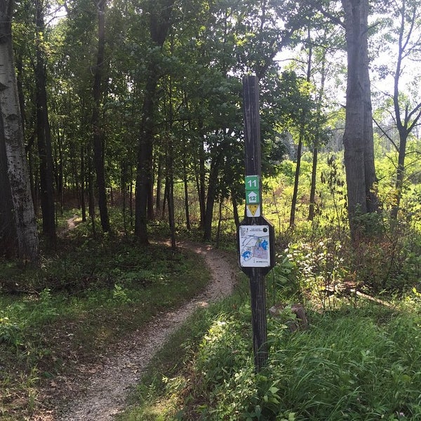 Eagle Lake Beach - Augusta, MI
