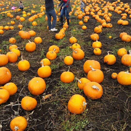 Galey Farms Corn Maze, Market & Railway - 2 tips