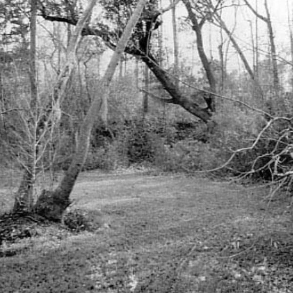 Fort Bull - west of the Ashley - Charleston, SC