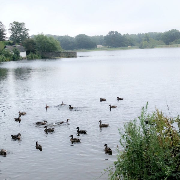 Photos at Duddingston Loch - Lake in Edinburgh