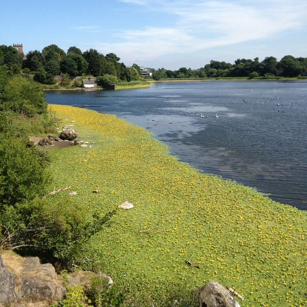 Photos at Duddingston Loch - Lake in Edinburgh