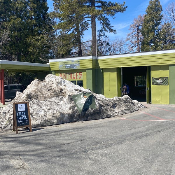Magpi - Cedar Glen, CA