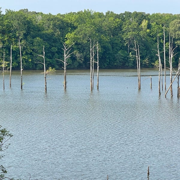 Jackson Lake Island - Millbrook, AL