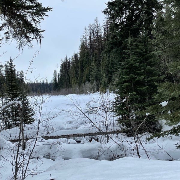 Dog Lake - Lake in olney