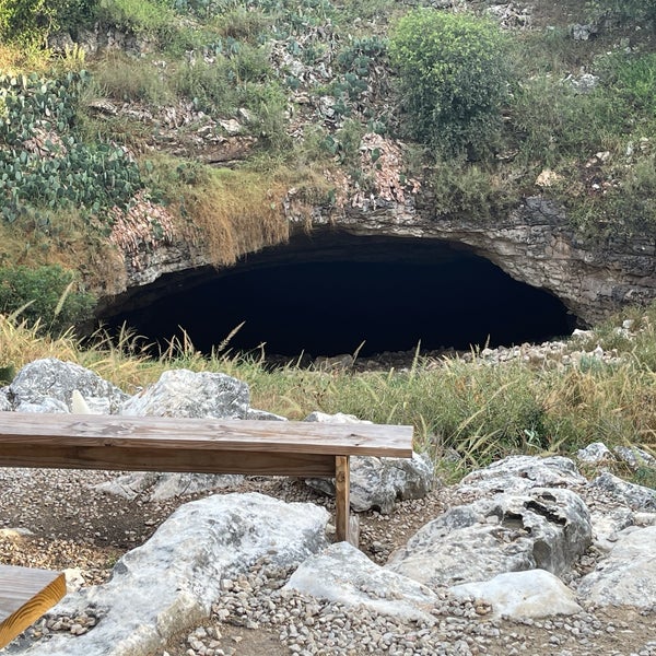 Bracken Bat Cave - 1 tip from 33 visitors