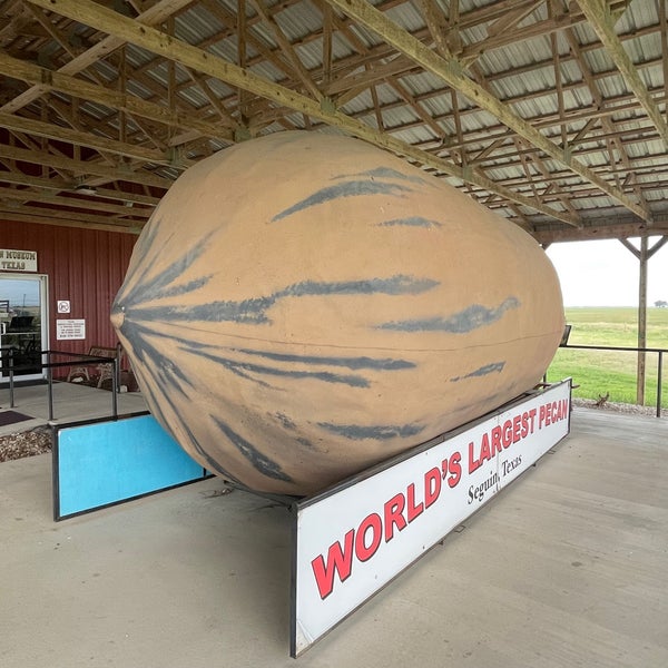 World's Largest Pecan - 1 tip from 99 visitors
