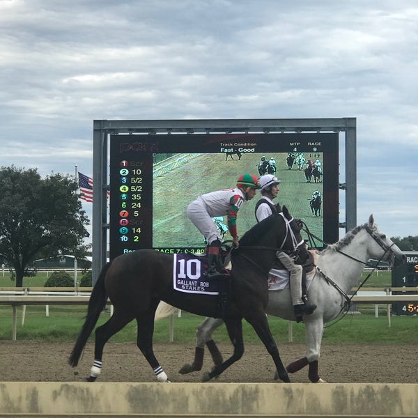 Parx Horseracing - Race Track