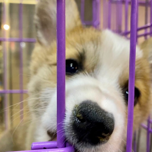 尚都SOHO北塔 - Yong'anli - 8 Dongdaqiao Rd