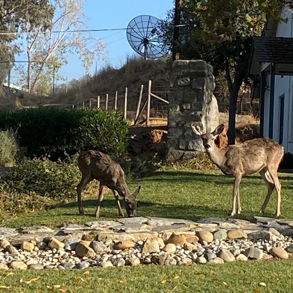 Photos at Folsom State Prison (FSP) - Prison in Represa