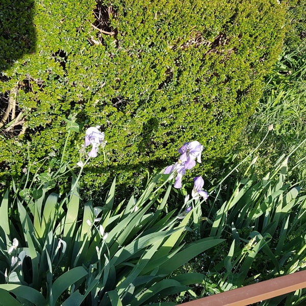 Parc Exflora - Antibes, Provence-Alpes-Côte d'Azur