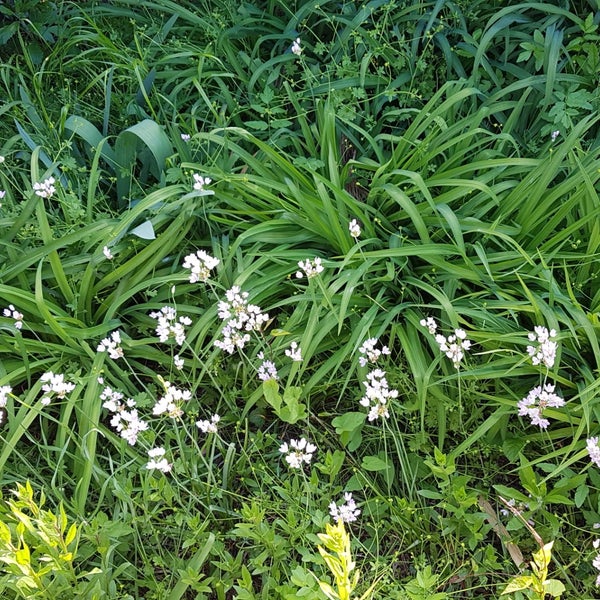 Parc Exflora - Antibes, Provence-Alpes-Côte d'Azur