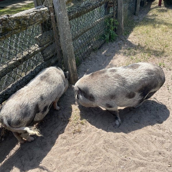 Far Enough Farm - Toronto Island Park