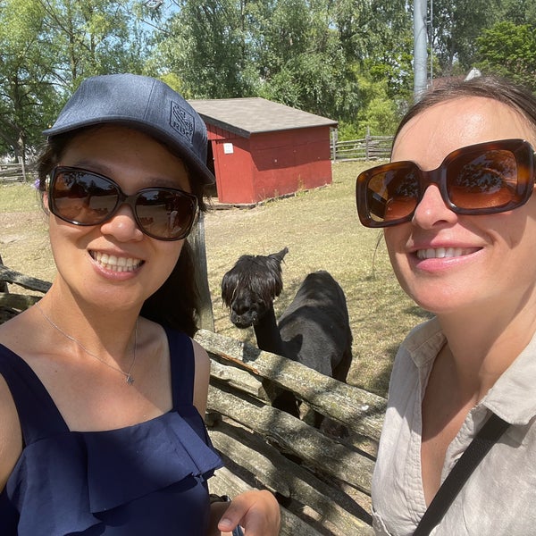 Far Enough Farm - Toronto Island Park
