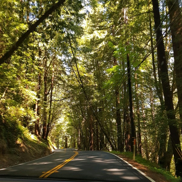 Occidental, CA - Occidental, CA